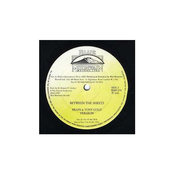 製造国 : UK　　リリース年 : 1989　　レーベル : Blue Mountain Records　　品番 : BMD074　　　　スリ傷有るがプレイＯＫ。人気男性DuoによるIsley Brothersの名曲をカバーしたレゲエクラシ...