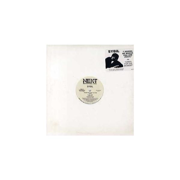 製造国 : US　　リリース年 : 1990　　レーベル : Next Plateau Records Inc　　品番 : NP 50123W DJ　　　　ジャケステッカー有。US Promo Org。Ground Beatをいち早く取り入...