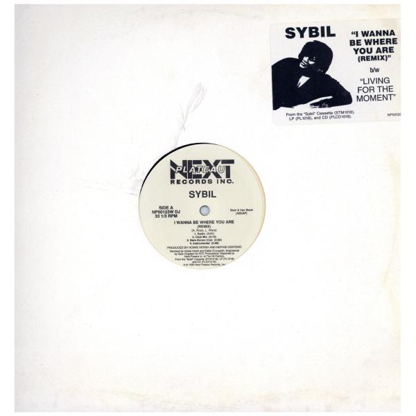 製造国 : US　　リリース年 : 1990　　レーベル : Next Plateau Records Inc　　品番 : NP 50123W DJ　　　　ジャケステッカー有。US Promo Org。Ground Beatをいち早く取り入...