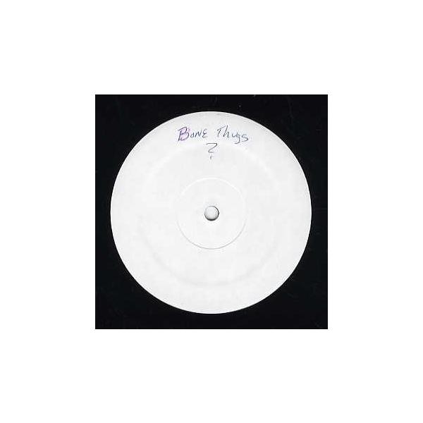 製造国 : US　　リリース年 : 1997　　レーベル : Ruthless Records　　品番 : 88561-6343-1　　　　White Labelのテストプロモ!! '97にリリースされた2nd Album"The Art ...