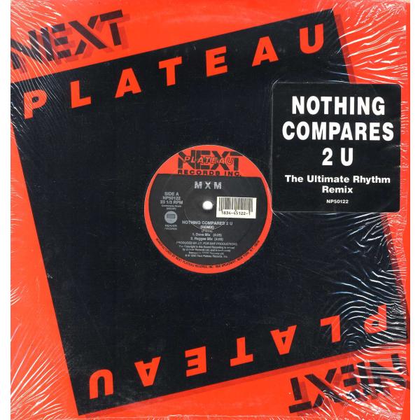 製造国 : US　　リリース年 : 1990　　レーベル : Next Plateau　　品番 : NP 50122 　　　　ジャケステッカー有。スリ傷有るがプレイＯＫ。US Org!!イタリア産ユニットが'90にリリースしたグラウンドビー...