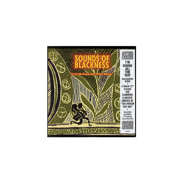 製造国 : UK　　リリース年 : 1994　　レーベル : A&amp;M Records　　品番 : 587 485-1　　　　大型ゴスペルR&amp;Bグループである彼等が'94にリリースした5枚目のアルバム"Africa To Am...