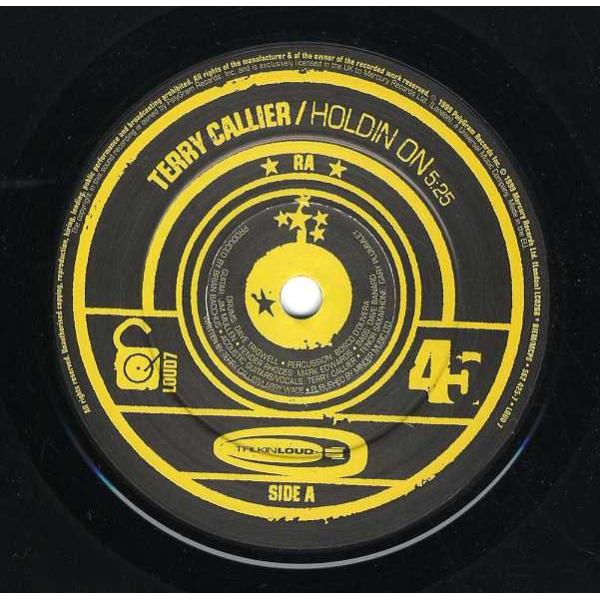 製造国 : UK　　リリース年 : 1999　　レーベル : Talkin' Loud　　品番 : LOUD7　　　　A面に傷有りますが、B面は良好です。Free Soul〜レアグルーヴ系のDJたちの間で絶大な人気を誇る"Ordinary ...