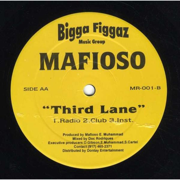 製造国 : US　　レーベル : Bigga Figgaz Music Group　　品番 : MR-001　　　　B面ラベルにシワ有。Bigga Figgazが贈るBigga Figgaz Music Groupからのシングル!! 両面と...