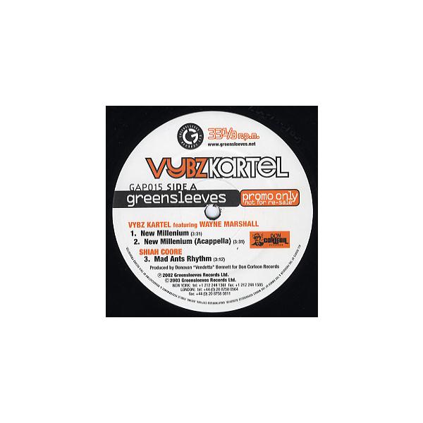 製造国 : UK　　リリース年 : 2003　　レーベル : Greensleeves Records　　品番 : GAP015　　　　昨年殺人容疑で逮捕された彼が'03にGreensleevsからのリリースしたPromo盤!! 両面共にW...