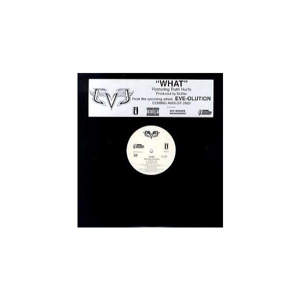 製造国 : US　　リリース年 : 2002　　レーベル : INTERSCOPE　　品番 : INTR-10778-1　　　　'02リリース作!! USプロモオンリー未使用デッドストック盤!! リリース当時はめちゃくちゃ話題盤でした〜！ア...