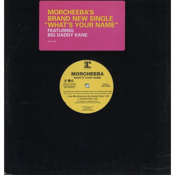 製造国 : US　　リリース年 : 2003　　レーベル : Reprise Records　　品番 : PRO-A-101136　　　　ジャケステッカー有。90年代中期から活動を続けるR&amp;Bバンドの彼等が'03にリリースしたベスト...