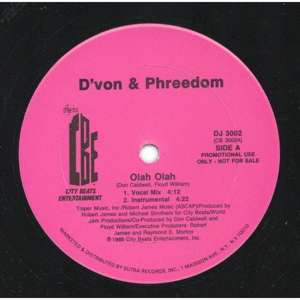 製造国 : US　　リリース年 : 1988　　レーベル : City Beats Entertainment　　品番 : DJ 3002　　　　Kay-D D.J. Stash"My Rhythm Is Kept"等、Old School...