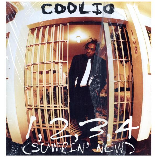 製造国 : US　　リリース年 : 1996　　レーベル : Tommy Boy Music　　品番 : TB 721　　　　シュリンク付。'96にリリースされたアルバム未収録の大ネタ使いのパーティチューン!! 当時絶好調だった彼がEvas...