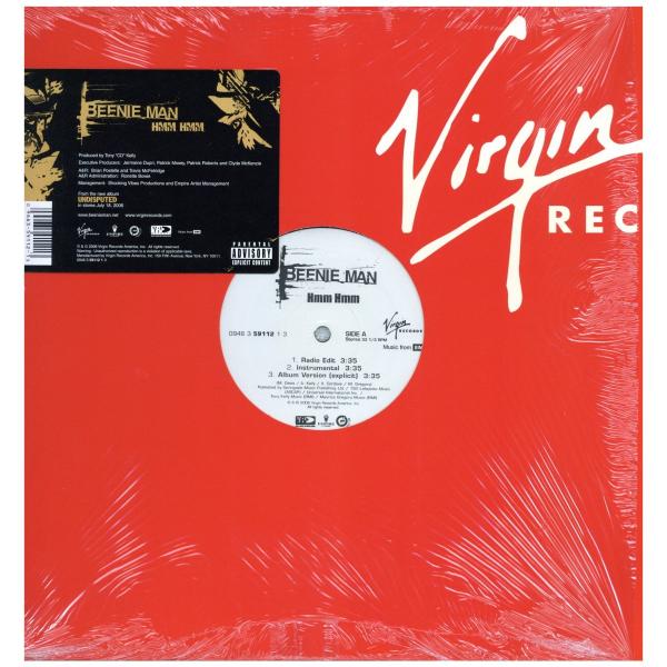 製造国 : US　　リリース年 : 2006　　レーベル : VIRGIN　　品番 : 0946 3 59112 1 3　　　　ジャケステッカー有。'06リリース作。US正規盤。Dave Kelly、Scott StorchがProで参加し...