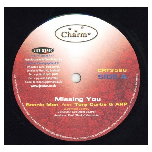 製造国 : UK　　リリース年 : 2004　　レーベル : CHARM　　品番 : CRT3526　　　　'04大ネタ使いのヒットチューン!! '97にBiggyの追悼曲として、BadboyのArtistによるThe Police"Eve...