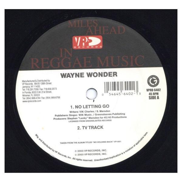 製造国 : US　　リリース年 : 2003　　レーベル : VP RECORDS　　品番 : VPRD 6402　　　　2003年の大ヒットチューン。今となってはVP盤も廃盤です。当時、レゲエと言えばコレでしょう的な大ヒットRidumだっ...