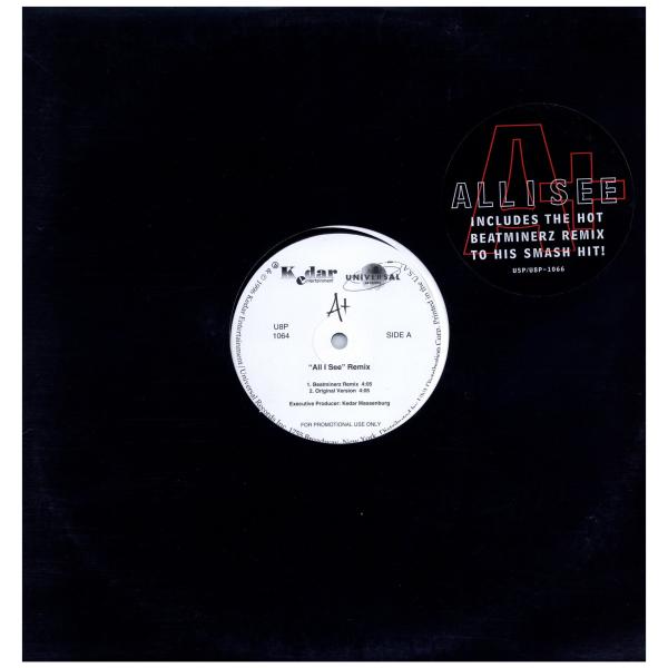 製造国 : US　　リリース年 : 1996　　レーベル : Universal Records / Kedar Entertainment　　品番 : U8P1064　　　　ジャケステッカー有。'96 US Org 12"。NY出身のKi...