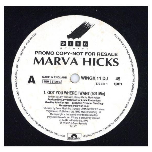 製造国 : UK　　リリース年 : 1991　　レーベル : Wing Records / Polydor　　品番 : WINGX 11 DJ / 879 747-1　　　　スリ傷有るがプレイＯＫ。UK Promo Org。'22に惜しくも...