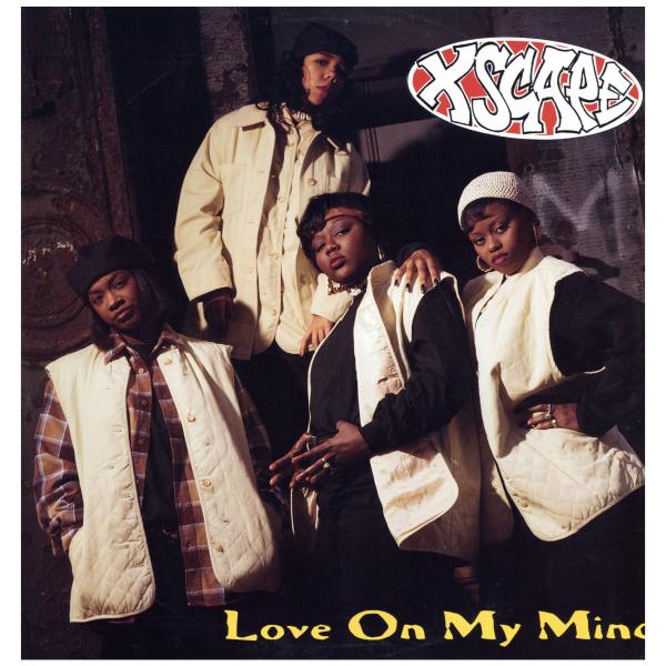 製造国 : US　　リリース年 : 1994　　レーベル : Columbia　　品番 : 44 77408　　　　ジャケ破れ箇所有。Jermaine Dupriのバックアップでデビューした女性R&amp;Bグループが'95にリリースした2...