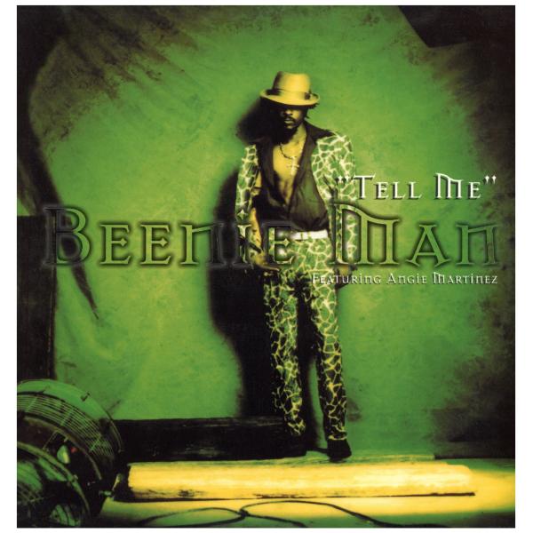 製造国 : US　　リリース年 : 1998　　レーベル : VP Records　　品番 : VPRD6284　　　　キングストン出身80年代中期から下積みを重ね90年代にブレイクを果たした人気DJが'99にリリースしたアルバム"The ...