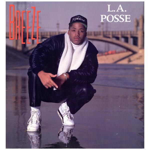 製造国 : US　　リリース年 : 1989　　レーベル : ATLANTIC　　品番 : DMD 1323　　　　ジャケにシワ箇所有。スリ傷有るがプレイＯＫ。King-Tee"Played Like A Piano"にも参加した西海岸のベ...