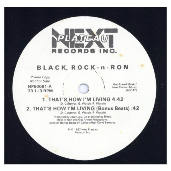 製造国 : US　　リリース年 : 1987　　レーベル : NEXT PLATEAU　　品番 : NP50061　　　　'87 US Org 12"。Paul Cがエンジニアで参加した彼ら唯一のアルバム"Stop The World"から...