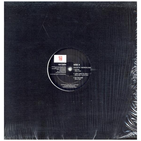 製造国 : US　　リリース年 : 2003　　レーベル : Varsity International　　品番 : VA12004　　　　シュリンク付。Barry Beeが製作したEP集。'04にCDのみでリリースされUK産R&amp;B...