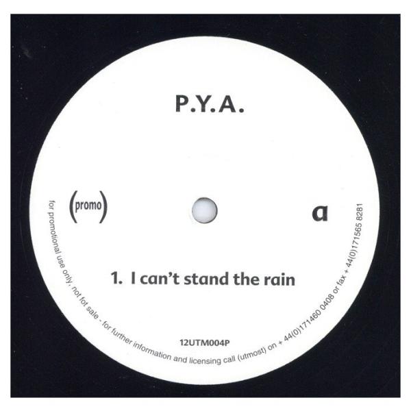 製造国 : UK　　リリース年 : 1998　　レーベル : Utmost Records　　品番 : 12UTM004P　　　　UK Promo Org。D*NoteやIncognitoにも参加したPamela Andersonが'98に...