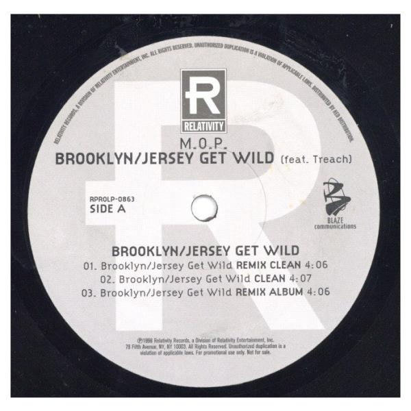 製造国 : US　　リリース年 : 1998　　レーベル : Relativity　　品番 : RPROLP-0863　　　　US Promo Org。Brooklyn出身Lil' FameとBilly Danzenieによるプリモのお気に...