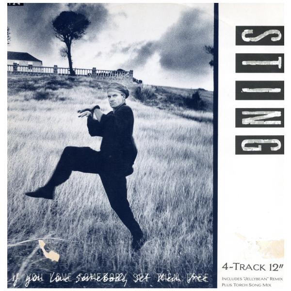 製造国 : UK　　リリース年 : 1985　　レーベル : A&amp;M Records　　品番 : 392 018-1　　　　ジャケ破れ・両面BPMシール有。B-1にプレスミス箇所有り。The Policeのボーカルで、ソロでも大成功...