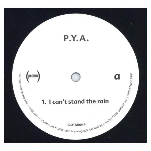 製造国 : UK　　リリース年 : 1998　　レーベル : Utmost Records　　品番 : 12UTM004P　　　　UK Promo Org。D*NoteやIncognitoにも参加したPamela Andersonが'98に...