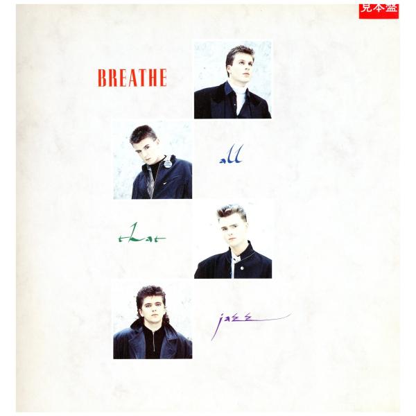 製造国 : JAPAN　　リリース年 : 1988　　レーベル : Virgin / Siren　　品番 : VJL-28033　　　　帯無し・ライナーノーツ付。日本見本盤。ロンドンで結成されたイギリスのポップバンドが'87にリリースしたデ...