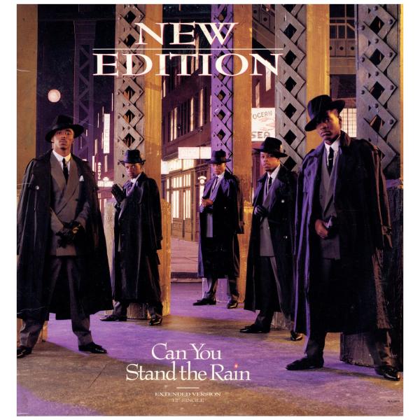 製造国 : US　　リリース年 : 1988　　レーベル : MCA Records　　品番 : MCA-23919　　　　裏ジャケ汚れ有。スリ傷有るがプレイＯＫ。US Org。Bobby Brownが脱退し存続が危ぶまれた彼等がJohnn...