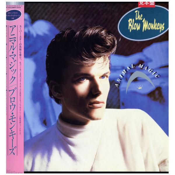 製造国 : JAPAN　　リリース年 : 1986　　レーベル : RCA　　品番 : RPL-8343　　　　帯・ライナーノーツ付。見本盤。Dr. Robert率いるスコットランド出身の人気アイドルグループが'86にリリースした2nd A...