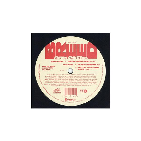 製造国 : US　　リリース年 : 1993　　レーベル : ICHIBAN / Wrap Records 　　品番 : 12-PO 154 　　　　スリ傷有るがプレイＯＫ。ミシガン州フリント出身でDFCのリーダーである彼が'93にリリース...