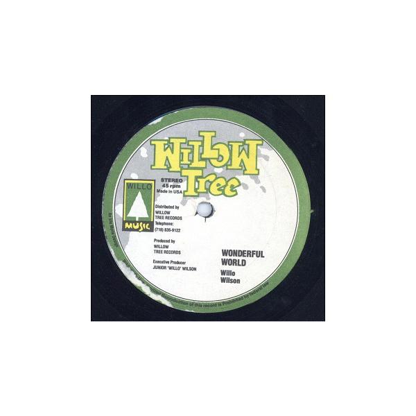 製造国 : JAMAICA　　レーベル : Willow Tree Records / Super Power　　品番 : none　　　　A面ラベル淵に破れ箇所有。80年代から活動を続けるレゲエシンガーがWillow Tree Recor...