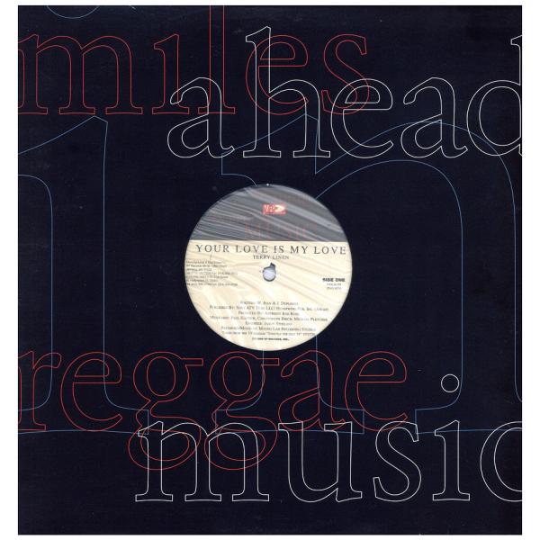製造国 : US　　リリース年 : 1999　　レーベル : VP Records　　品番 : VPRD6330　　　　VP Recordsカンパニースリーブ。故ガーネット・シルクに強い影響を受けた人気シンガーが'01にリリースしたデビュー...