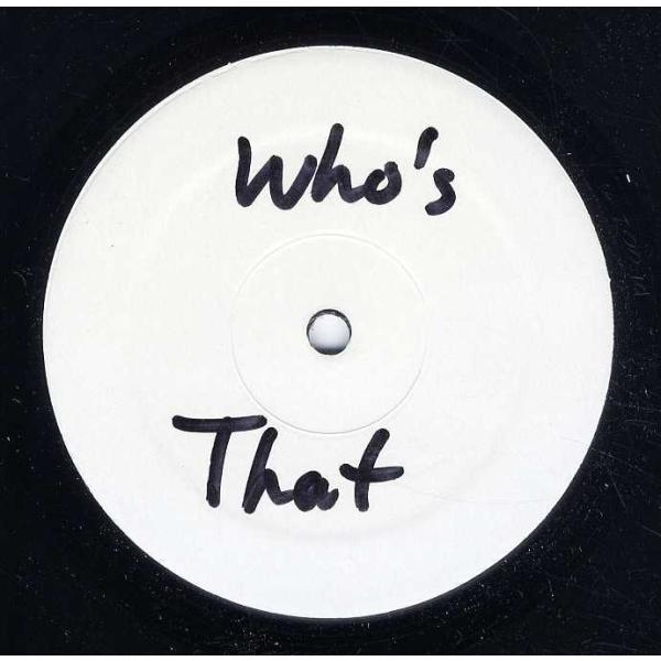 製造国 : US　　リリース年 : 2006　　レーベル : Deep Freeze Records　　品番 : DF001　　　　バスタ・ライムズ率いるフリップモード・スクワッドのメンバー、ランペイジのカムバック作!! 2006年にCDの...