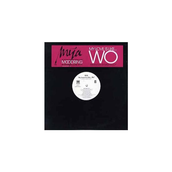 製造国 : US　　リリース年 : 2003　　レーベル : A&amp;M / INTERSCOPE　　品番 : AMRR-10964-1　　　　2003年の人気歌姫のプロモオンリー盤。'00の大ヒット作"Fear of Flying"の...