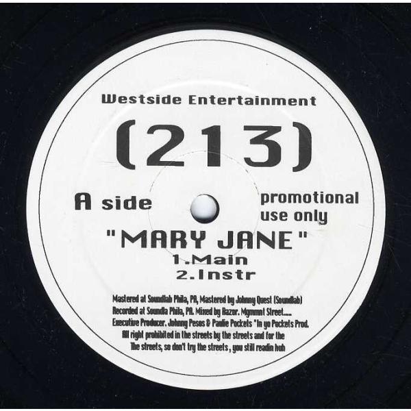 製造国 : US　　リリース年 : 2004　　レーベル : Westside Entertainment　　　　　　2003年にリリースされたAlbumからの音源と思われる新作が登場！軽くバンギンしたTrackながら彼等のSnoopにNa...