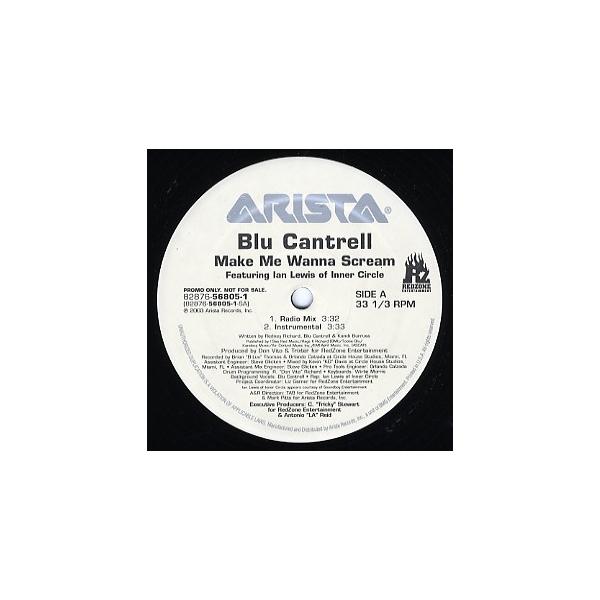 製造国 : US　　リリース年 : 2003　　レーベル : ARISTA　　品番 : 82876-56805-1　　　　USプロモ盤!! アナログは未発売のアルバム"Bitter Sweat"から、ホワイト盤でリリースされて話題だったIn...