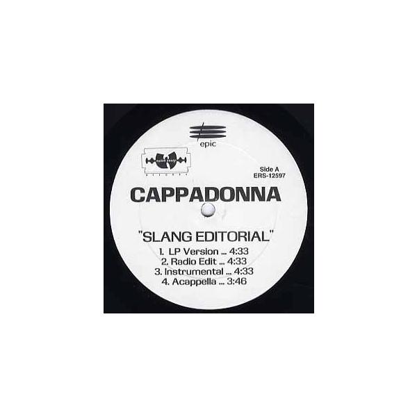 製造国 : US　　リリース年 : 1998　　レーベル : Razor Sharp Records　　品番 : ERS 12597　　　　'99リリース作!! デッド・ストック入荷!! デビュー・アルバム"The Pillage"からのプ...