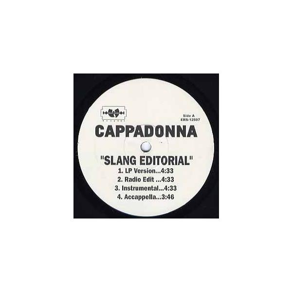 製造国 : US　　リリース年 : 1998　　レーベル : WHITE　　品番 : ERS-12597　　　　'99リリースのプロモ・オンリーだったシングルのホワイト盤がデッド・ストック入荷!! デビュー・アルバム"The Pillage...