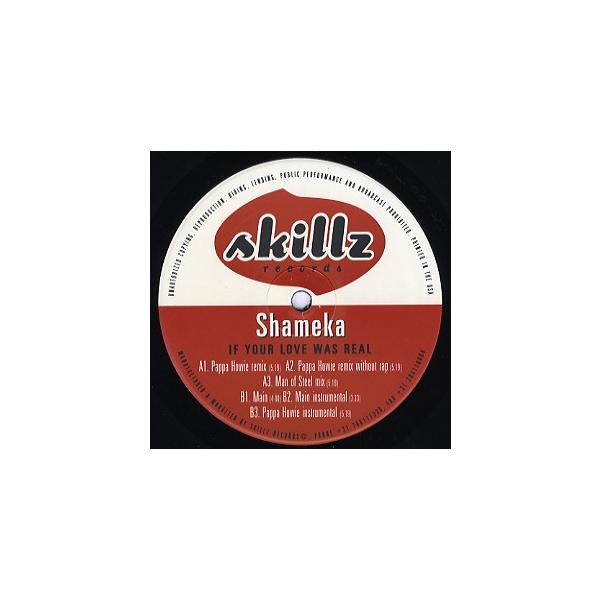 製造国 : US　　リリース年 : 1999　　レーベル : Skillz Records　　品番 : SK 0005　　　　シールド・未開封盤です。US Org。90年代末に良質なHiphop、R&amp;Bを極少リリースして消滅したSk...