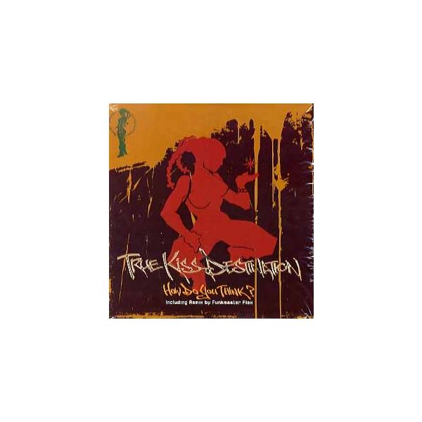 製造国 : JAPAN　　リリース年 : 1999　　品番 : TRUEKA 105　　　　'99リリース作。シールド・未開封盤です。DOSのダンサーAsamiとしてデビューした吉田麻美と小室哲哉によるユニット・グループ!! リリース時は、...