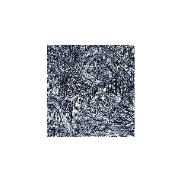 製造国 : JAPAN　　リリース年 : 1999　　レーベル : MARY JOY 　　品番 : MJ0029　　　　'99リリース作。Nujabesとの共演でも知られる日本語/英語を巧みに操るアングラ・ラッパーShing02の'01リリ...