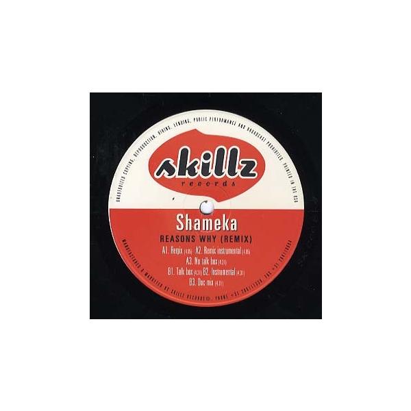 製造国 : US　　リリース年 : 1999　　レーベル : Skillz Records　　品番 : SK 0008　　　　アングラ好きに人気の傑作コンピ"New York - Amsterdam"で知られる良質レーベルSkillz Re...