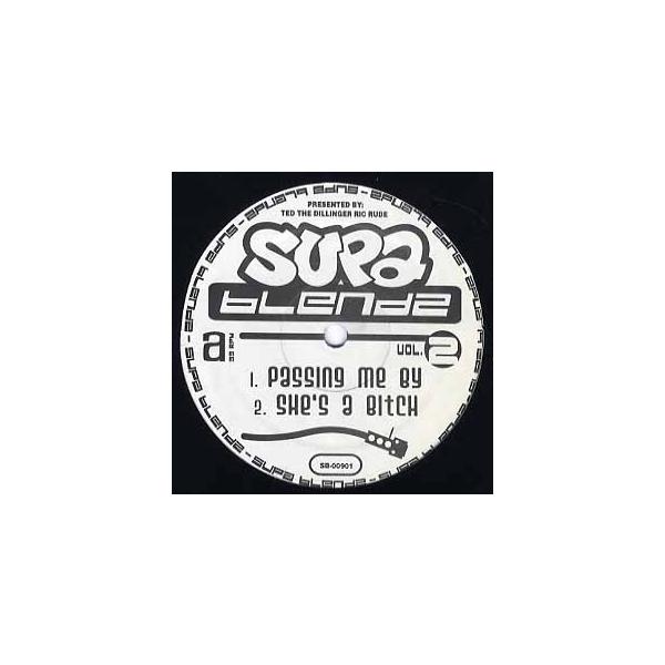 製造国 : US　　リリース年 : 1999　　レーベル : SUPA BLENDZ　　品番 : SB-00901　　　　'99リリース作。シールド・未開封盤です。Ted The Dillinger Ric Rudeが贈るPartyブレンド...