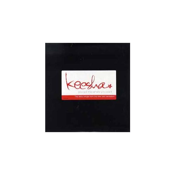 製造国 : US　　リリース年 : 1999　　レーベル : RCA　　品番 : 07863-65868-1　　　　'99リリース作。US盤がデッドストック入荷。14歳のときAllureを輩出したMariah Careyのレーベル"Crav...