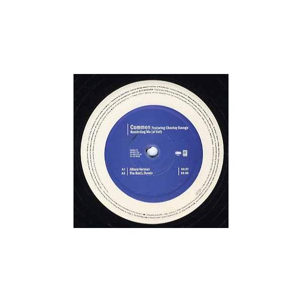 製造国 : UK　　リリース年 : 1999　　レーベル : WHITE　　品番 : XPR3177　　　　97年の名盤"One Day It'll All Make Sense"からの大ヒット曲の再発盤!! ヒップホップ界随一のリリシスト...