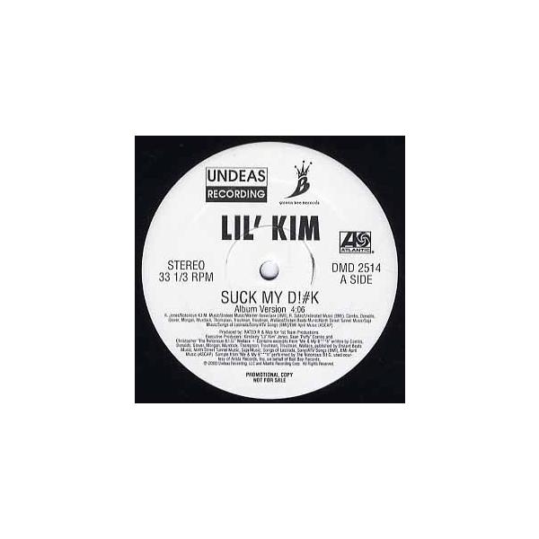 製造国 : US　　リリース年 : 2000　　レーベル : ATLANTIC　　品番 : DMD2514　　　　'00リリース作!! US Promo Only盤が未使用デッドストックで入荷!! ブルックリン出身、Junior M.A.F...