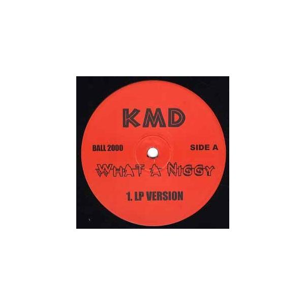 製造国 : US　　リリース年 : 2000　　レーベル : WHITE　　品番 : BALL2000　　　　'00リリース。DelのHip Hop ClassicsがUnderground Classicsより登場。Ice Cubeを叔父...