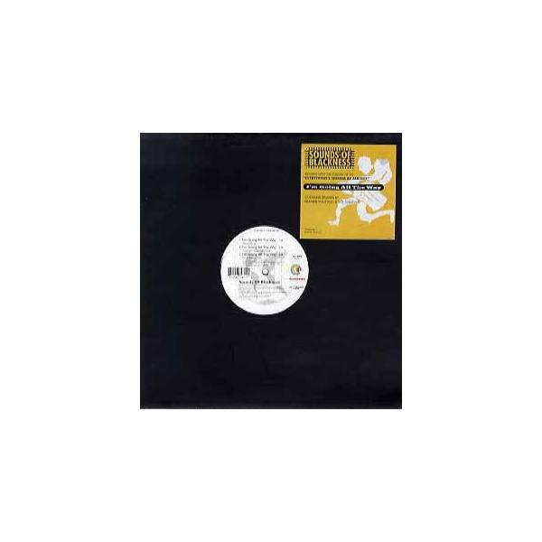 製造国 : US　　リリース年 : 2000　　レーベル : WHITE　　品番 : 31458 7481 1　　　　US Original仕様での再発盤が少量ですが再入荷!! 今でもMix CDに収録されたり、現場でも頻繁にPlayされた...