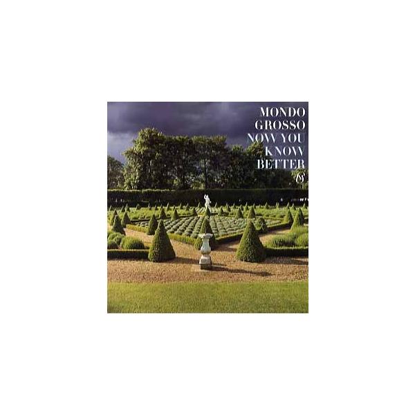 製造国 : JAPAN　　リリース年 : 2000　　レーベル : SONY　　品番 : AIJT5079　　　　'00リリース作!! 未使用デッドストック入荷!! 大沢伸一のソロプロジェクトで、ジャズ、ソウル、ヒップホップ、ボサノヴァ、R...